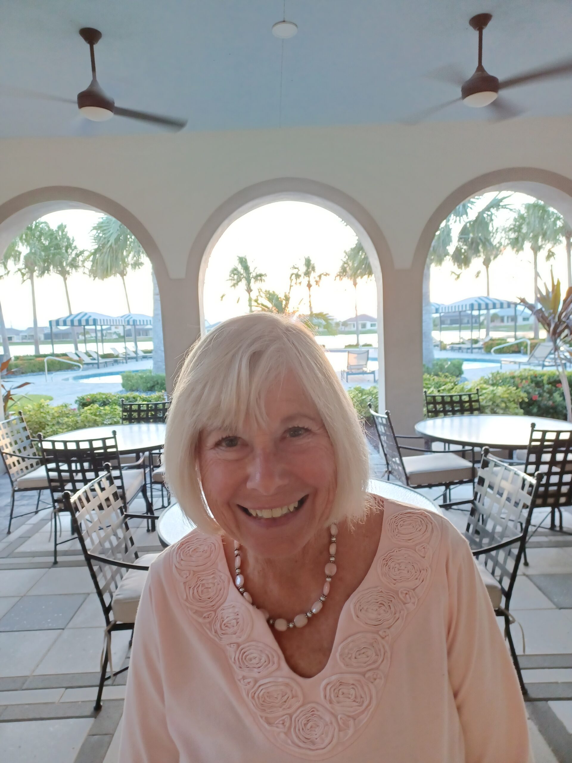 Republican Venice elected two Democrats to the city council. Now what ...