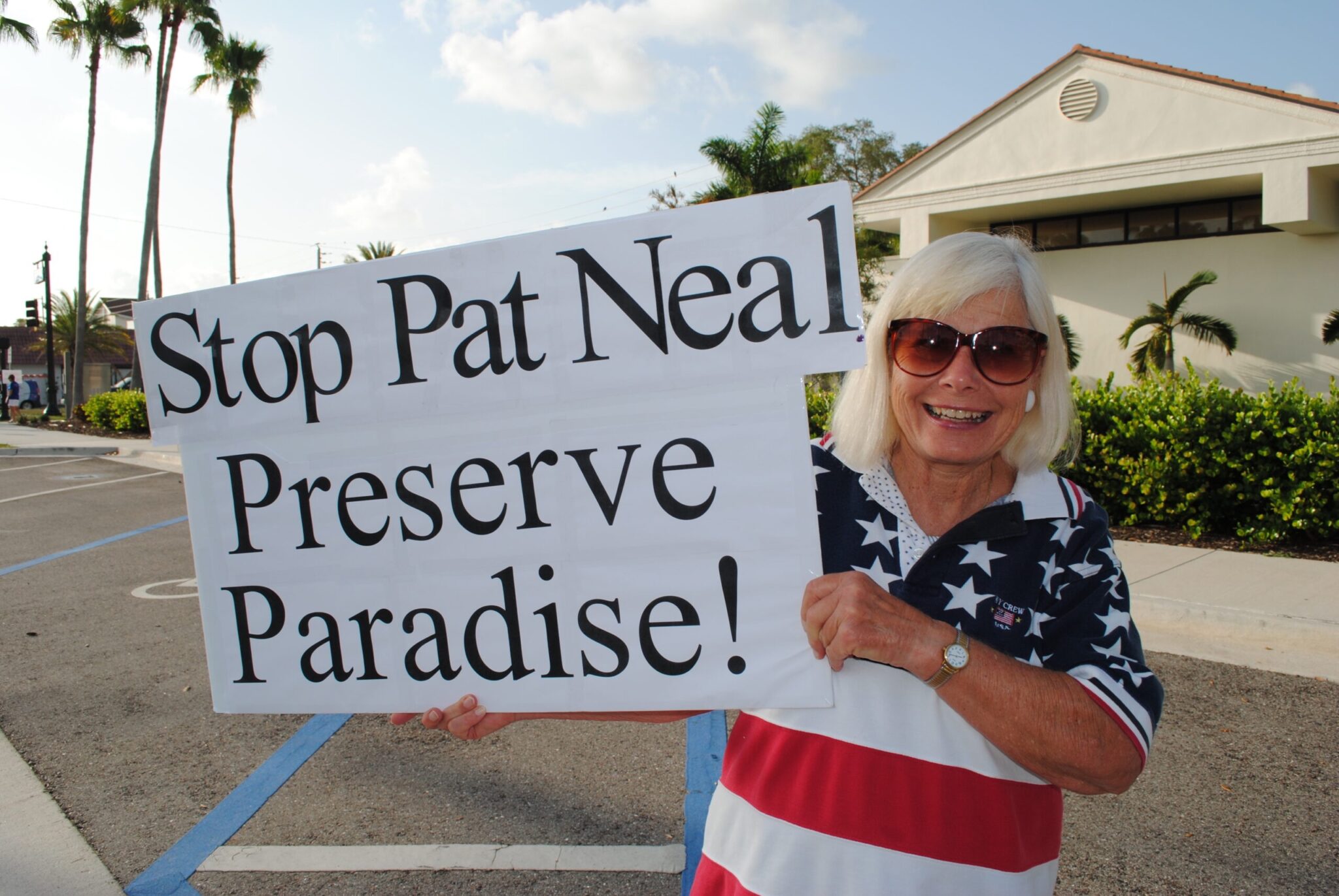 Venice city council weighs appeal against Neal shopping center - WSLR ...