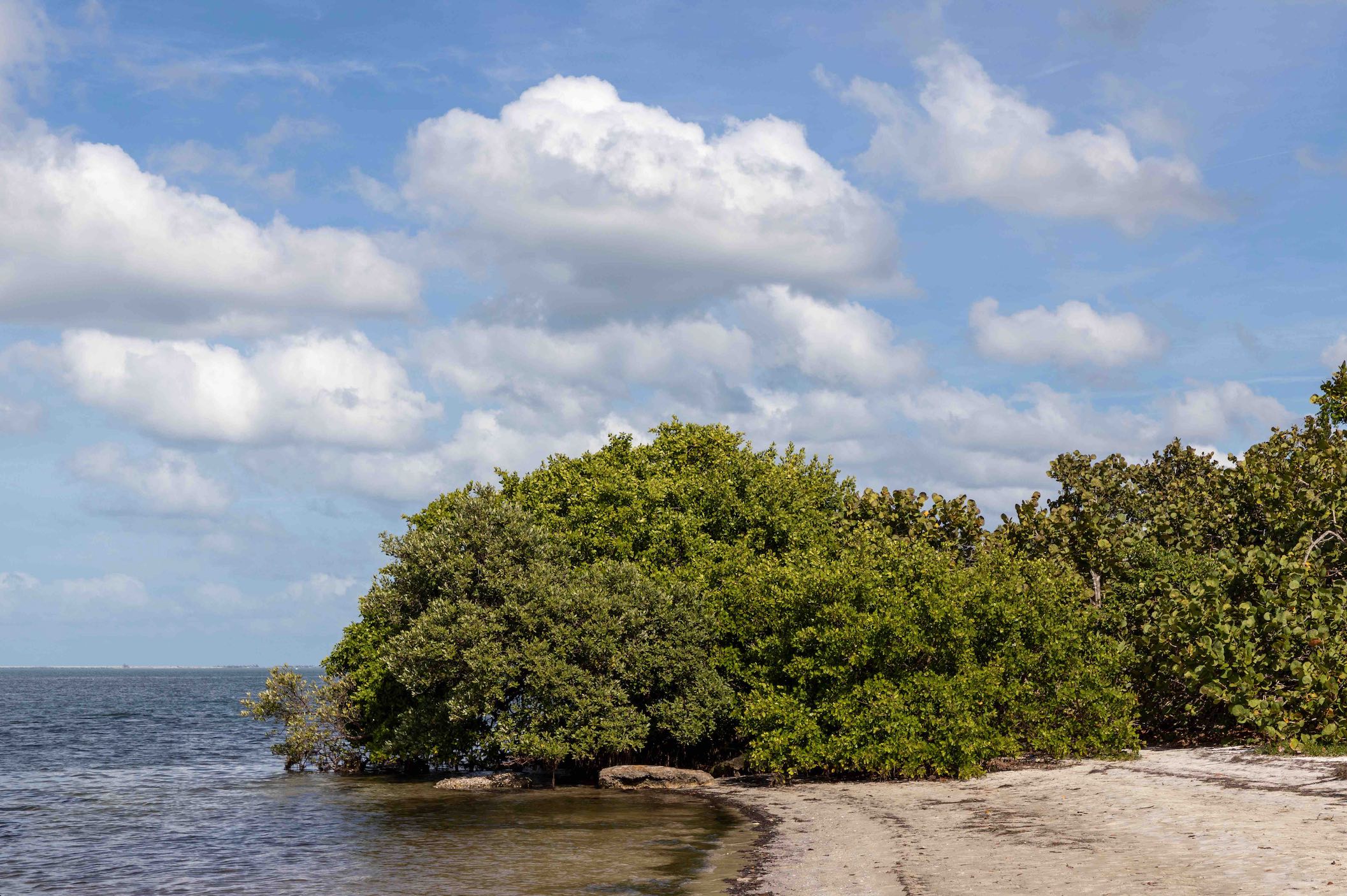 Manatee County headed towards Emerson Point Preserve expansion - WSLR ...