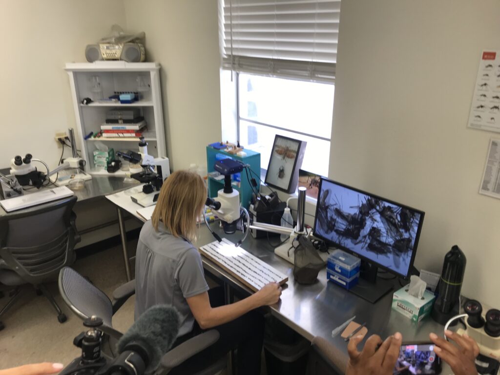 Mosquito Control Prepares for Wet Season - WSLR+Fogartyville