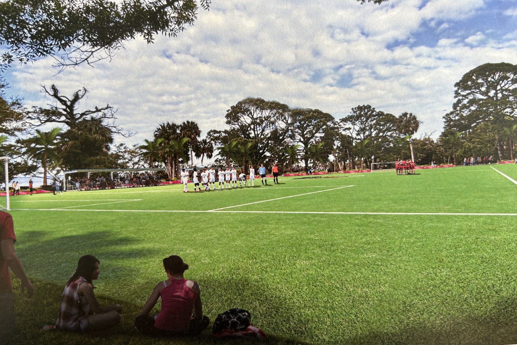 New College 'beautifies' bayfront preserve, cutting trees for soccer ...