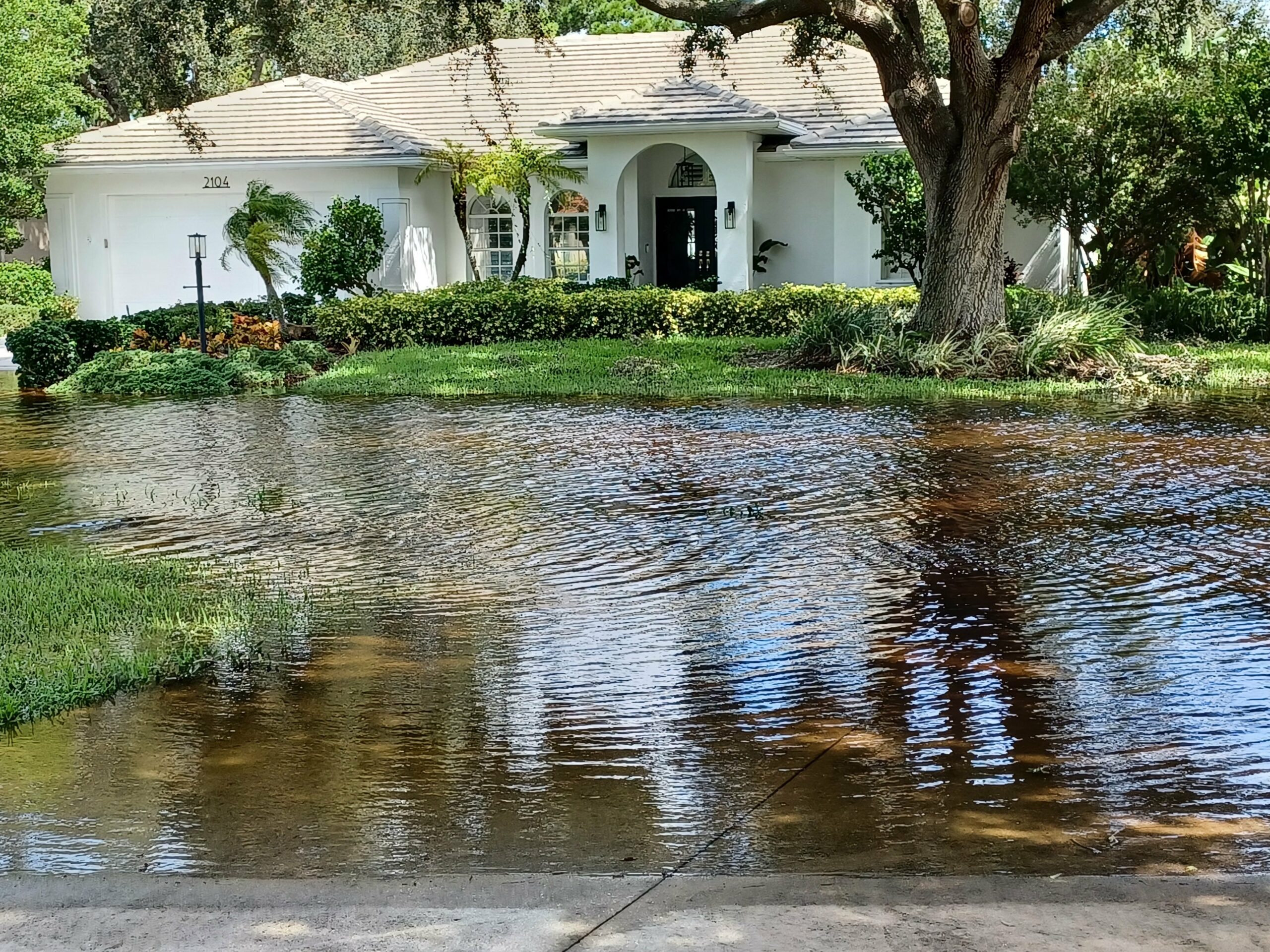 How the water got stuck at Calusa Lakes - WSLR+Fogartyville