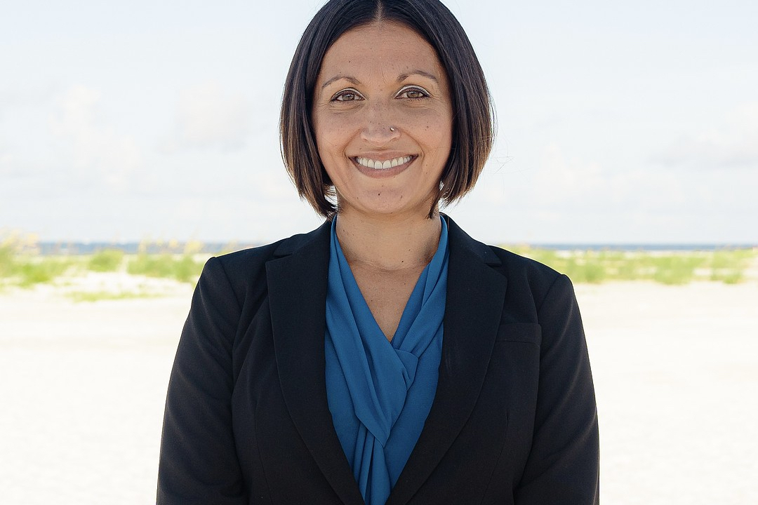 Who is the best guardian of Sarasota County's 'constitution'? - WSLR ...