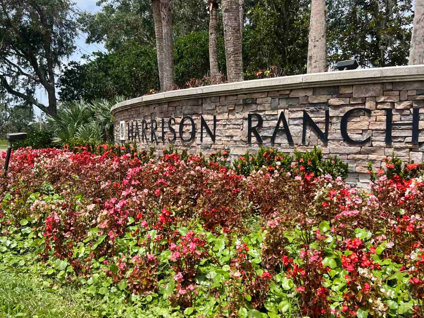 Suncoast Searchlight: The hidden cost of living in special development ...