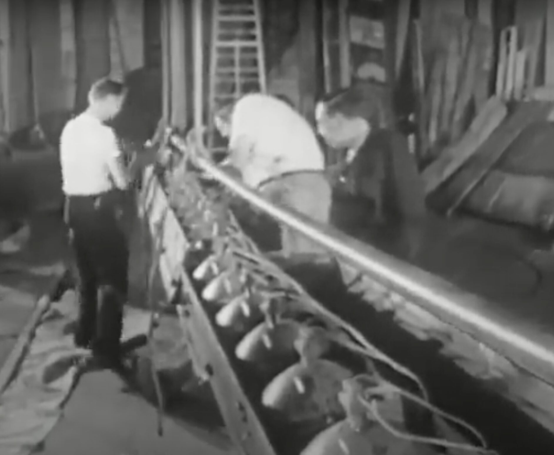 Sarasota's stagehand union turns 100 - WSLR+Fogartyville